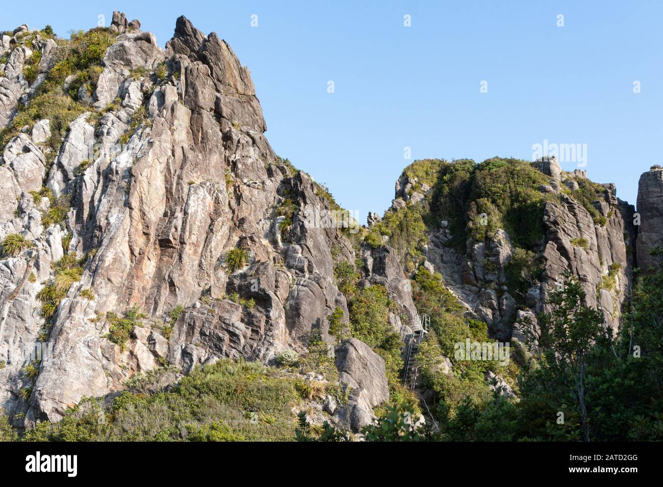 The ladders leading up to the summit of the Pinnacles track, Coromandel ...
