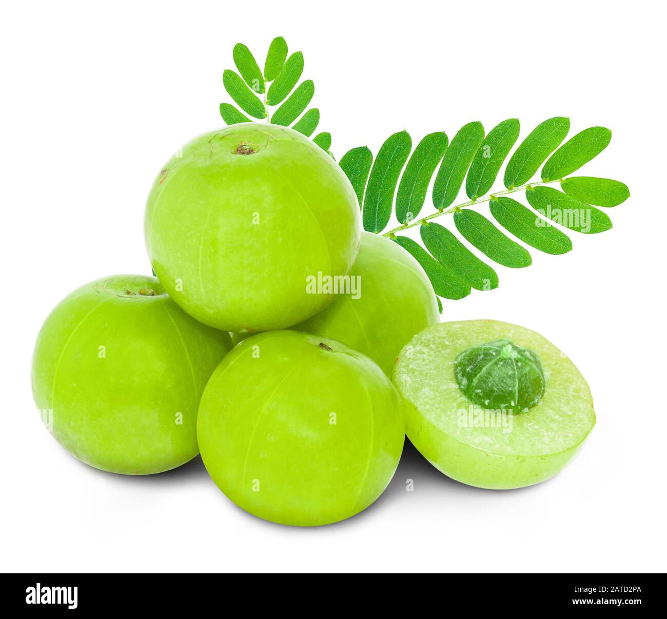 Single indian gooseberry hi-res stock photography and images - Alamy