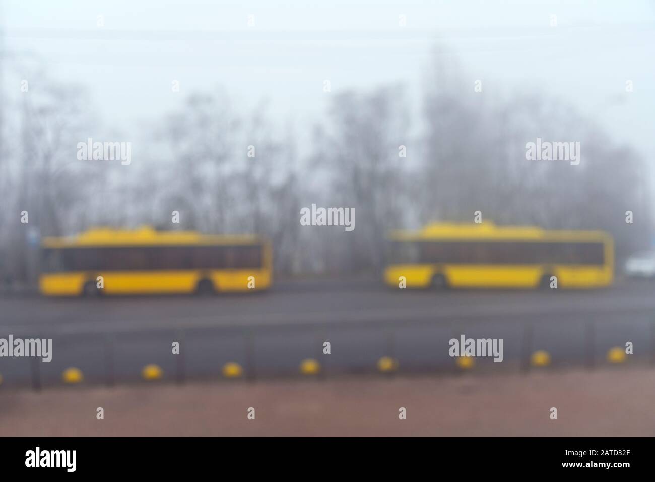 Yellow buses in the fog. Yellow school buses in a foggy haze. blurry ...