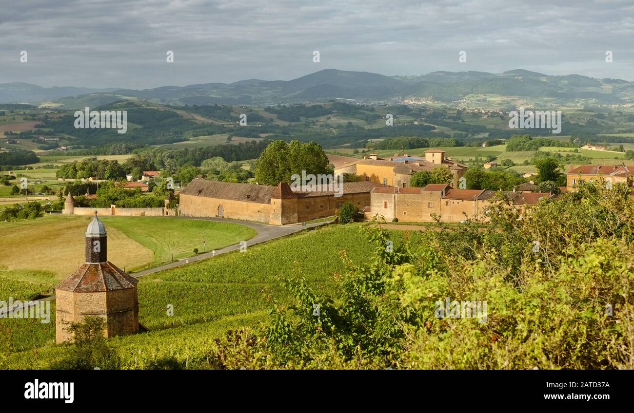 Pierre dorees hi-res stock photography and images - Alamy