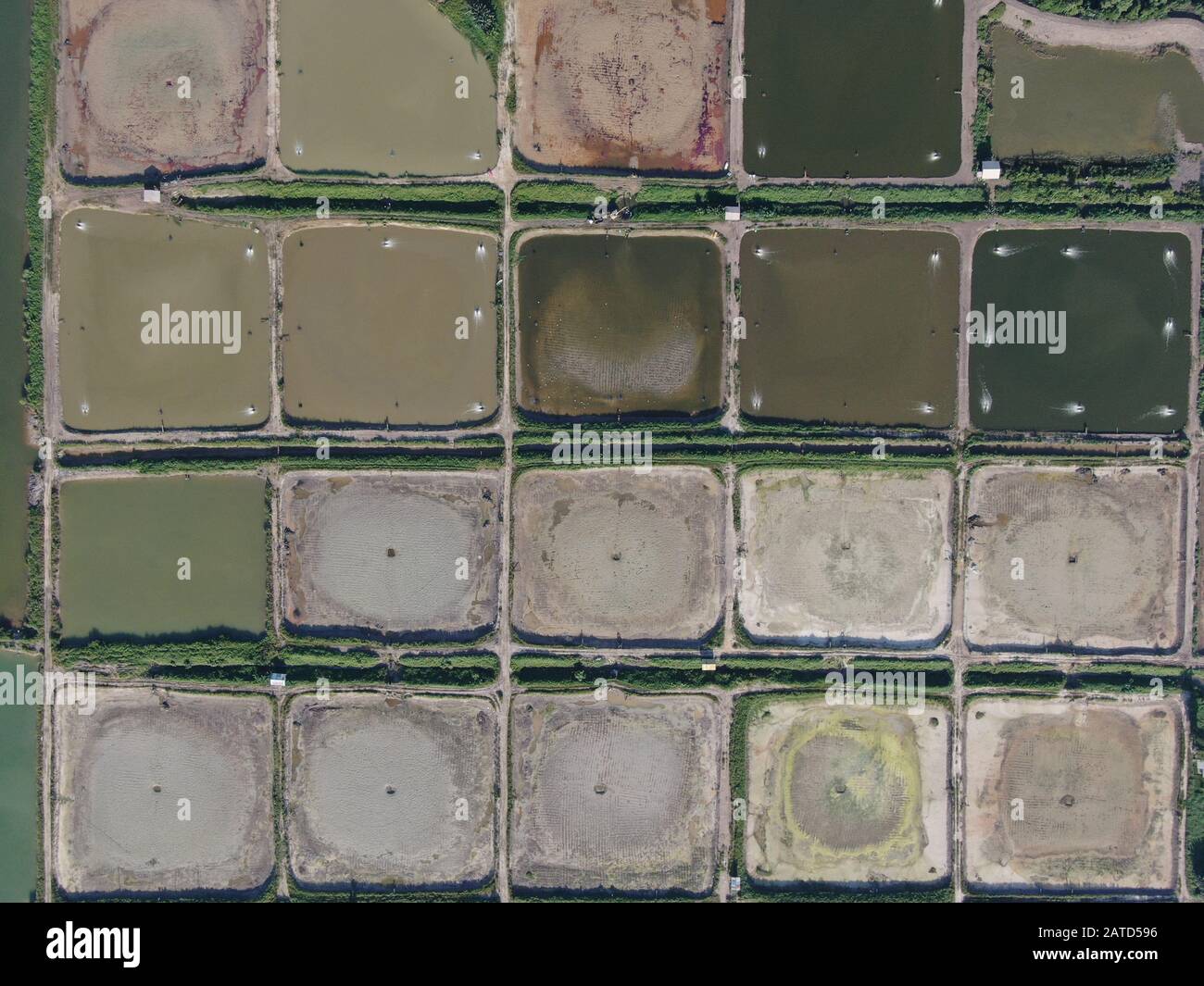 Prawn pond aerial hi-res stock photography and images - Alamy