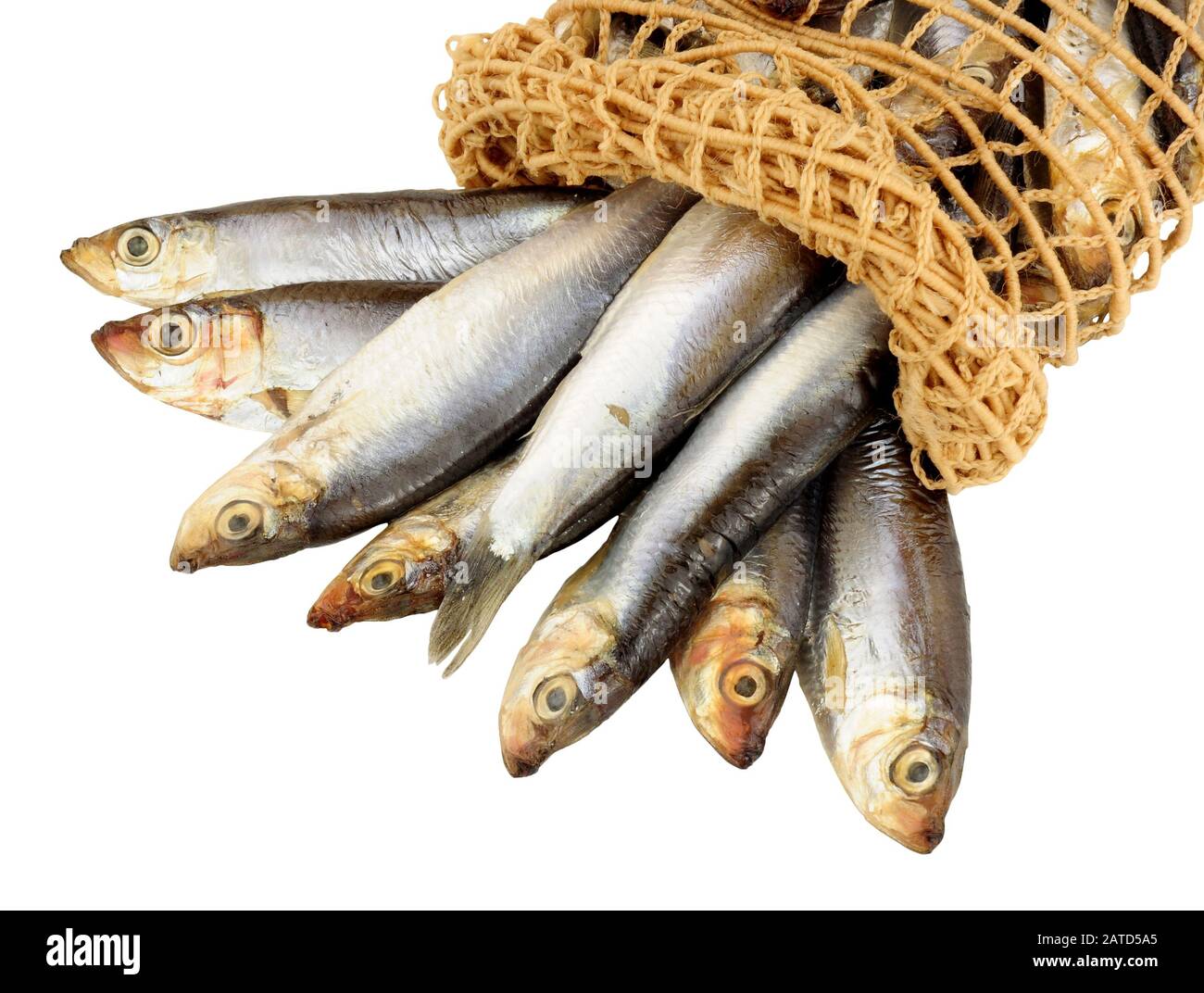 Fresh fish sprats spilling out of net isolated on white background ...