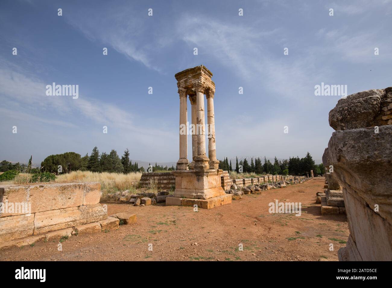 Beqaa vineyard hi-res stock photography and images - Alamy