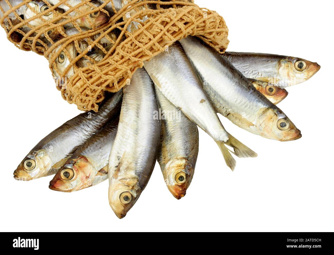 Sprat catch hi-res stock photography and images - Alamy