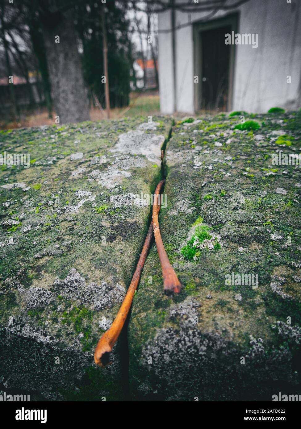 Back door rock wall hi-res stock photography and images - Alamy