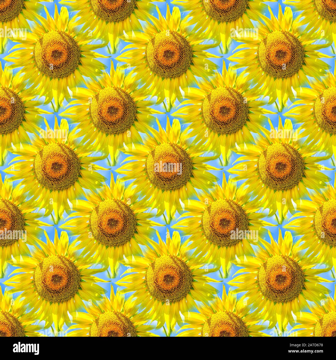 Seamless abstract springtime, summer natural background of blooming ...