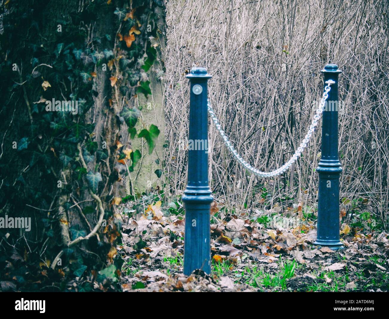 Chain barrier in nature Stock Photo - Alamy