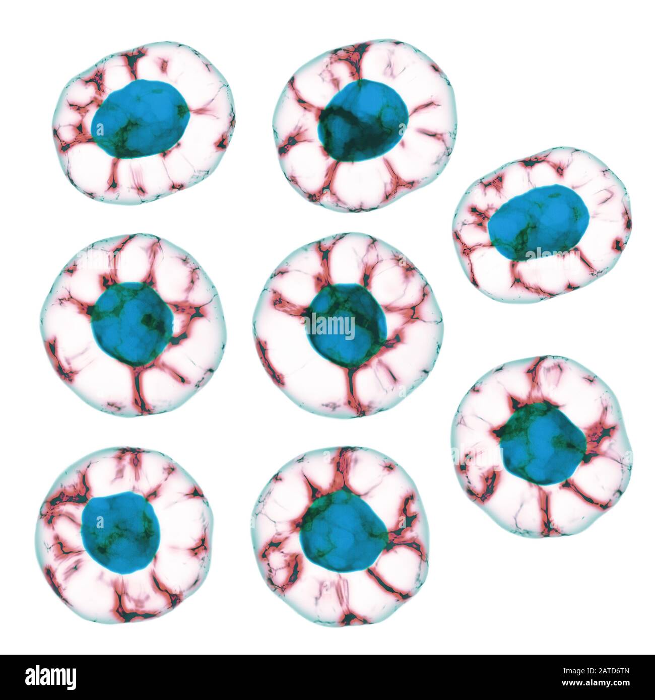 Cells Isolated On White Background. Medical Scientific Research Concept ...