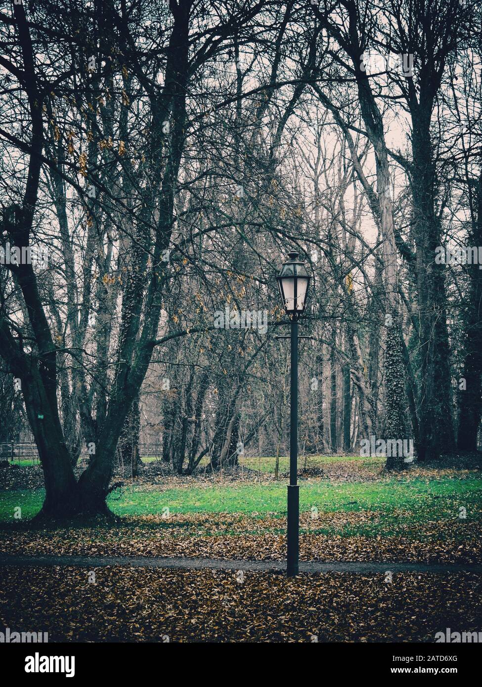 Eerie park feeling Stock Photo - Alamy