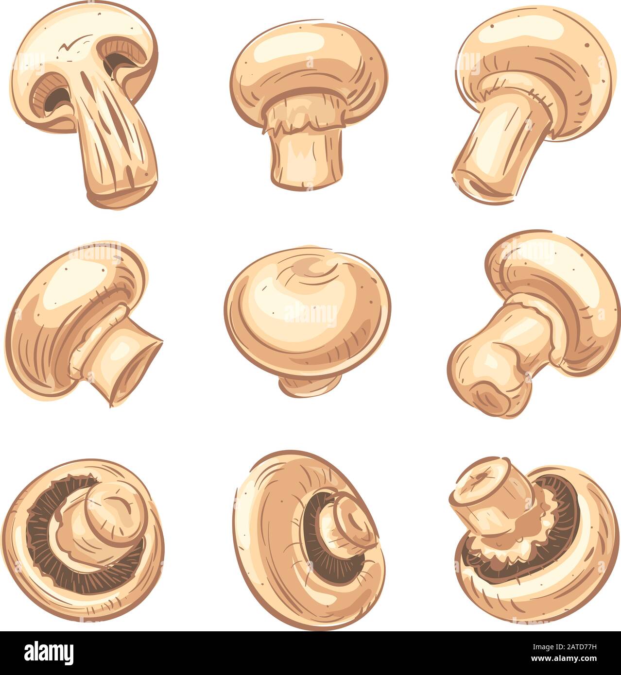 Champignon icons set. Cartoon set of champignon vector icons for web ...