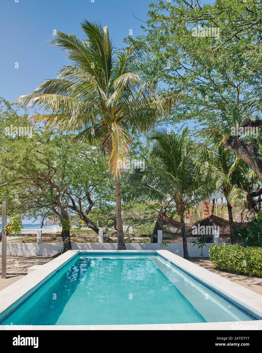 Swimming pool in tropical background on bright sunny day Stock Photo ...