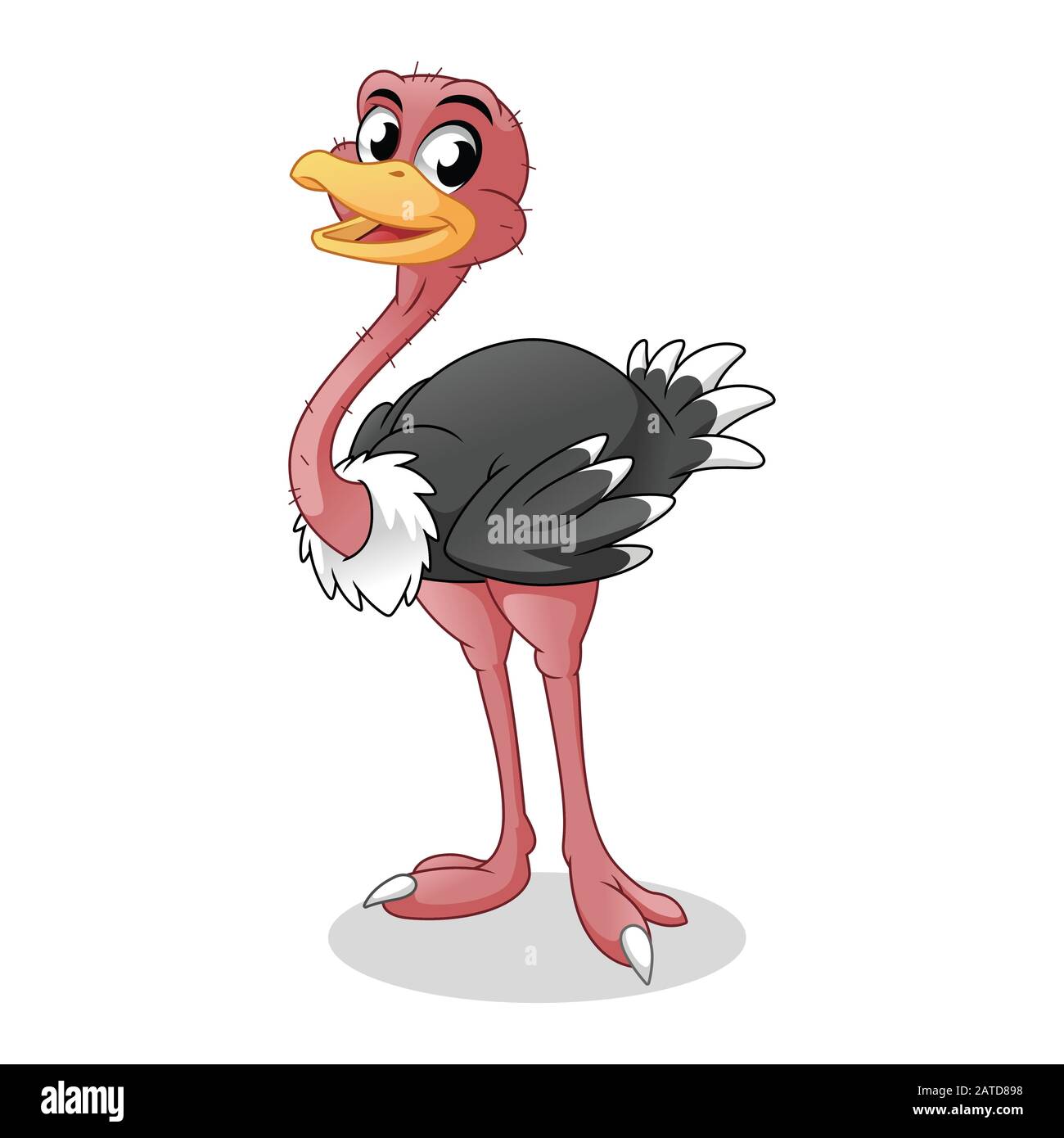 Ostrich Bird Clipart Images