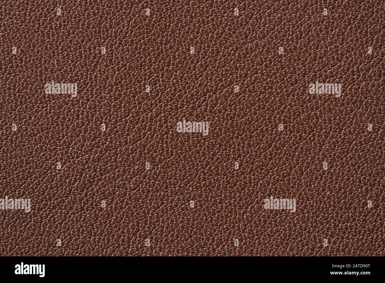 Texture of backside of brown toned leather, high detailed Stock Photo ...