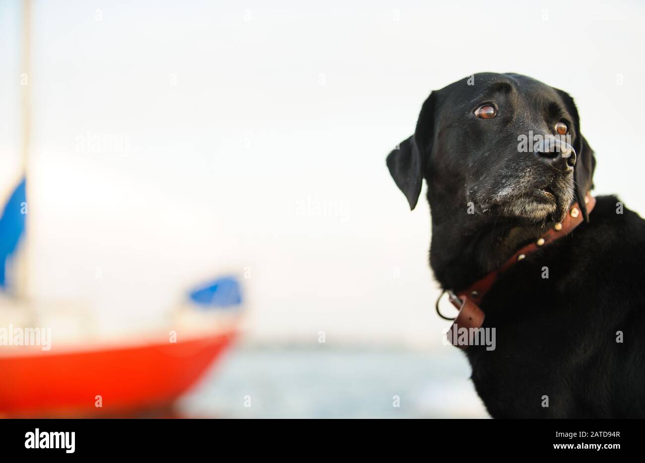 Lab boat hi-res stock photography and images - Alamy