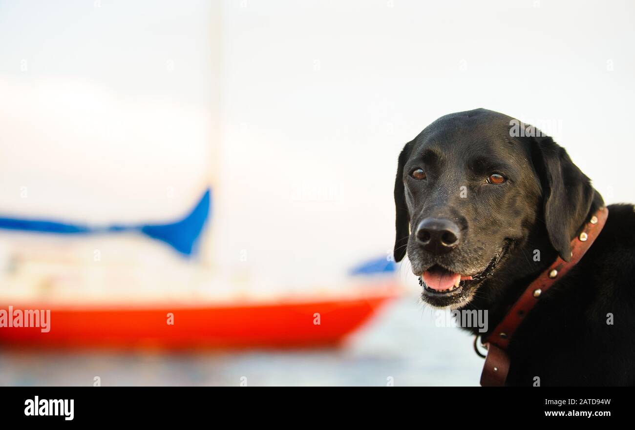 Lab boat hi-res stock photography and images - Alamy
