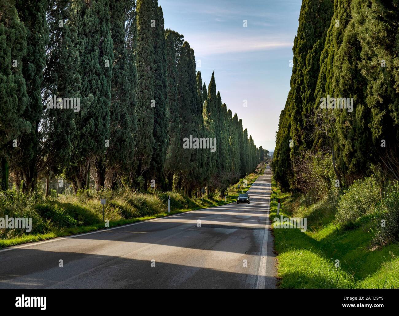 Car near tree hi-res stock photography and images - Alamy