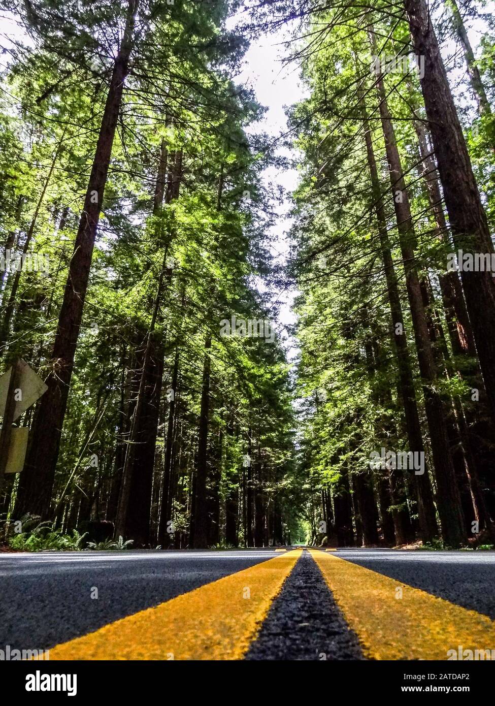 A ground level perspective shot from the centre of a road passing ...
