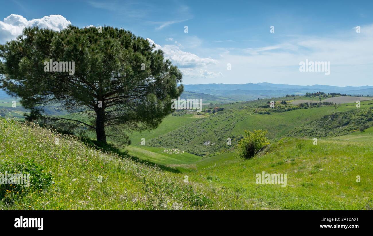 Pisa hill hi-res stock photography and images - Alamy