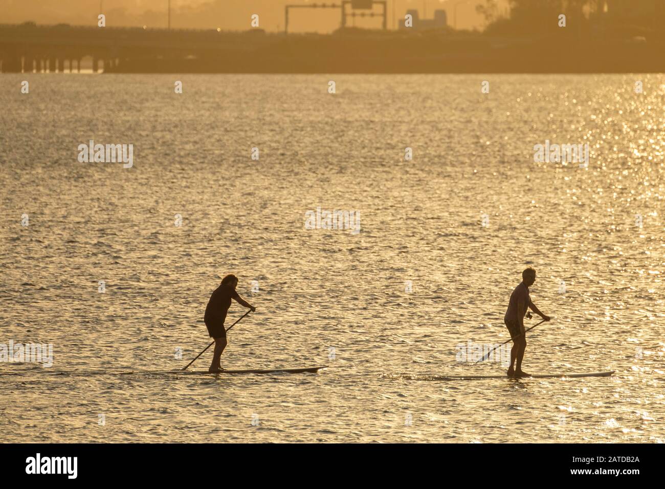 Camera club outing to Woody Point Stock Photo - Alamy