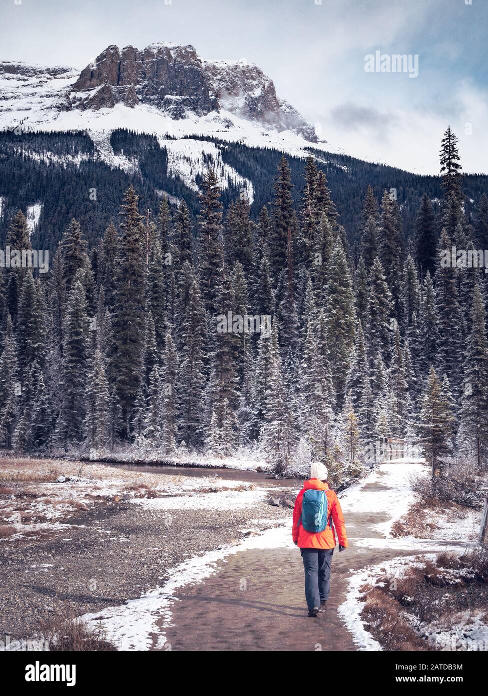 Female hiker walking along an alpine trail, Banff National Park ...