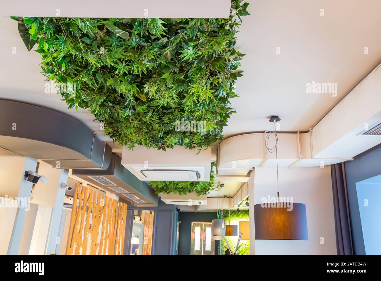 A lot of green leaves on the ceiling, design for cafe or coffee shop ...