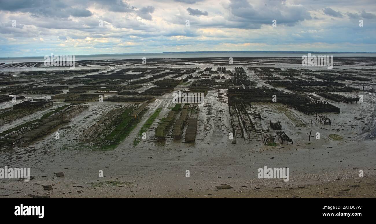 Oyster farm at Atlantic ocean shore at Cancale, France Stock Photo - Alamy