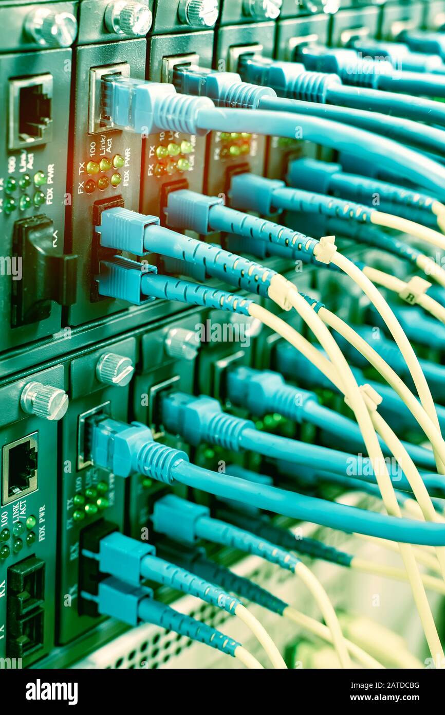 Server rack with blue and red internet patch cord cables connected to ...
