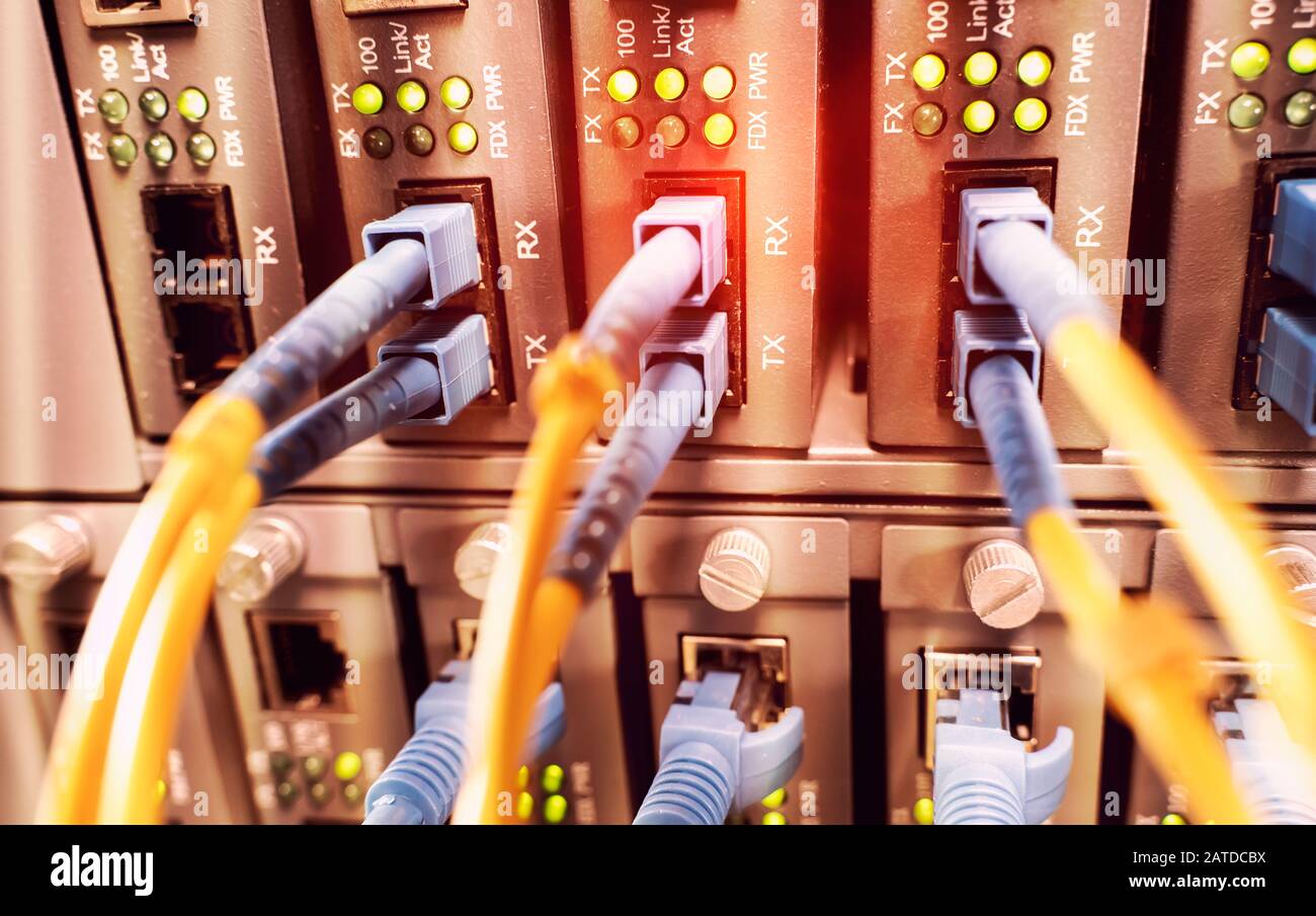 Server rack with blue and red internet patch cord cables connected to ...