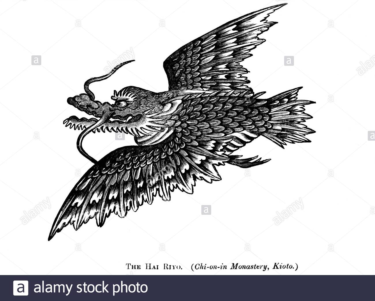Dragon illustrations hi-res stock photography and images - Alamy
