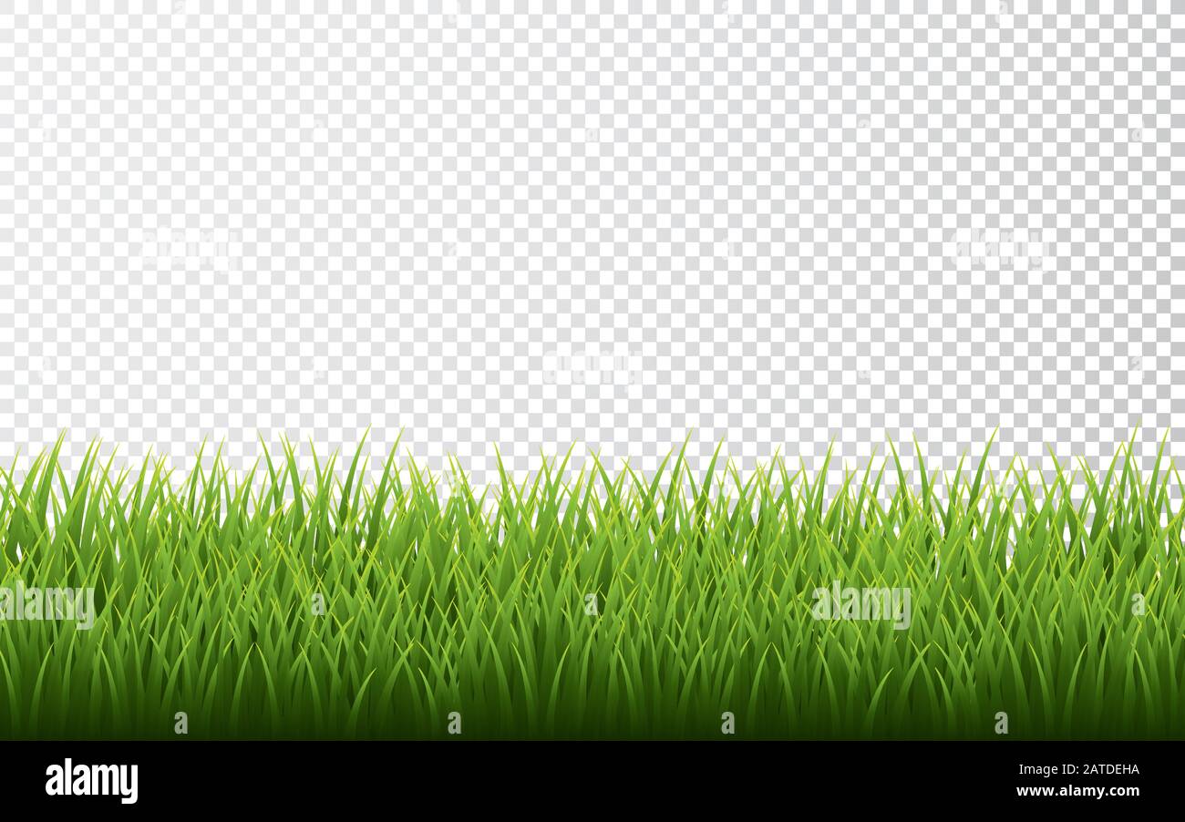 Grass Border Vector
