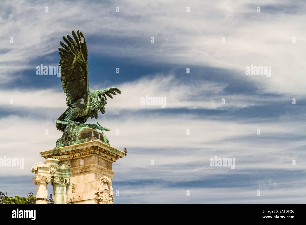 Turul bird as hungarian national bird hi-res stock photography and ...