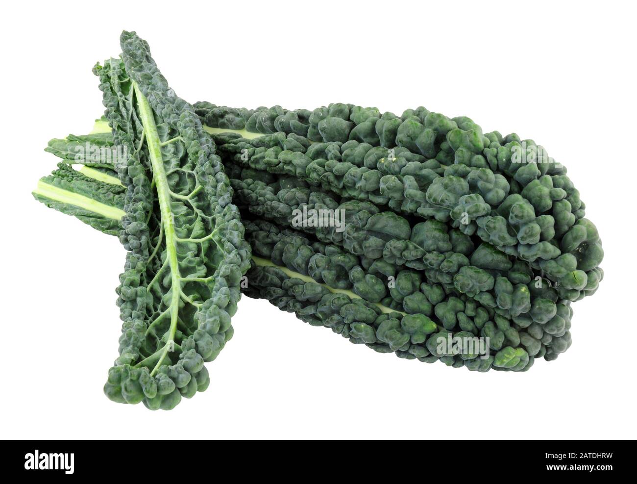 Group of black kale leaves isolated on a white background Stock Photo ...