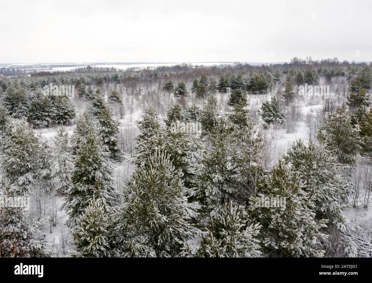 Forest Bird's Eye View High Resolution Stock Photography and Images - Alamy