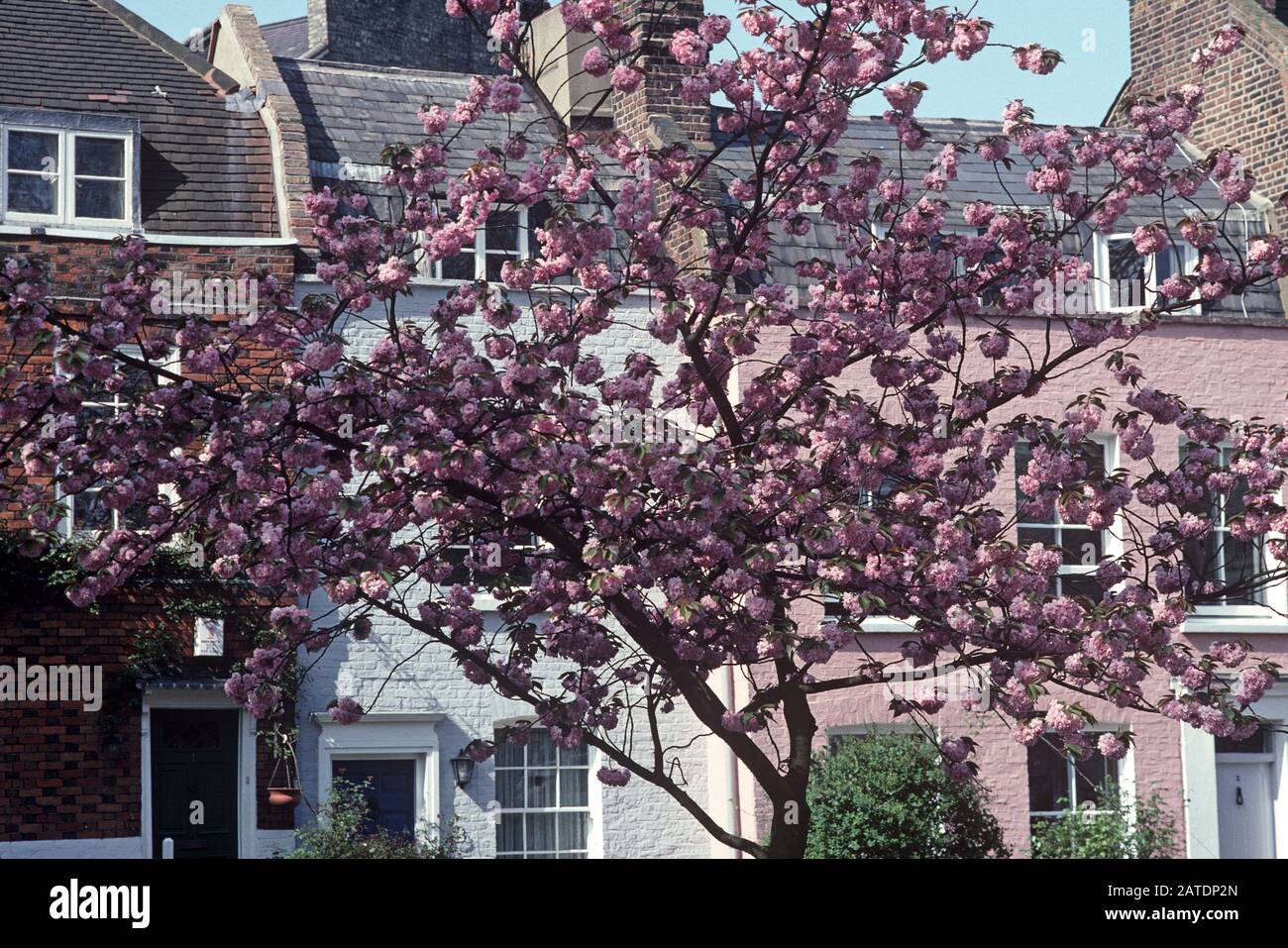 Pond square highgate hi-res stock photography and images - Alamy