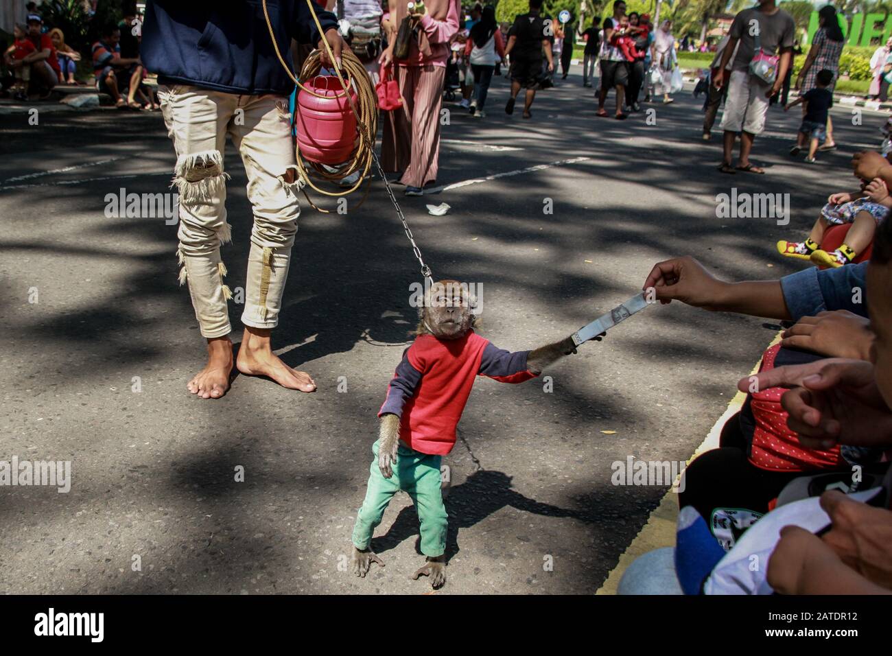 A topeng monyet receives money from a person during the show in Malang ...