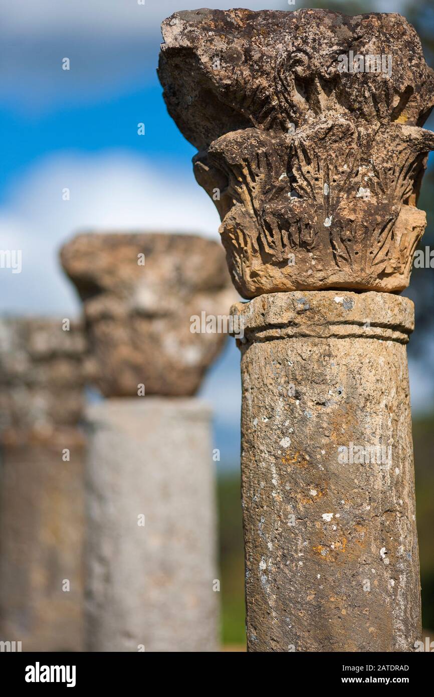 Temple of Septimius Severus at the Ancient Roman ruins of Djemilla, A ...