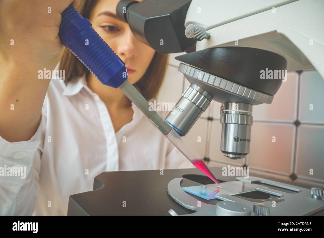 student girl looking in a microscope, science laboratory concept Stock ...