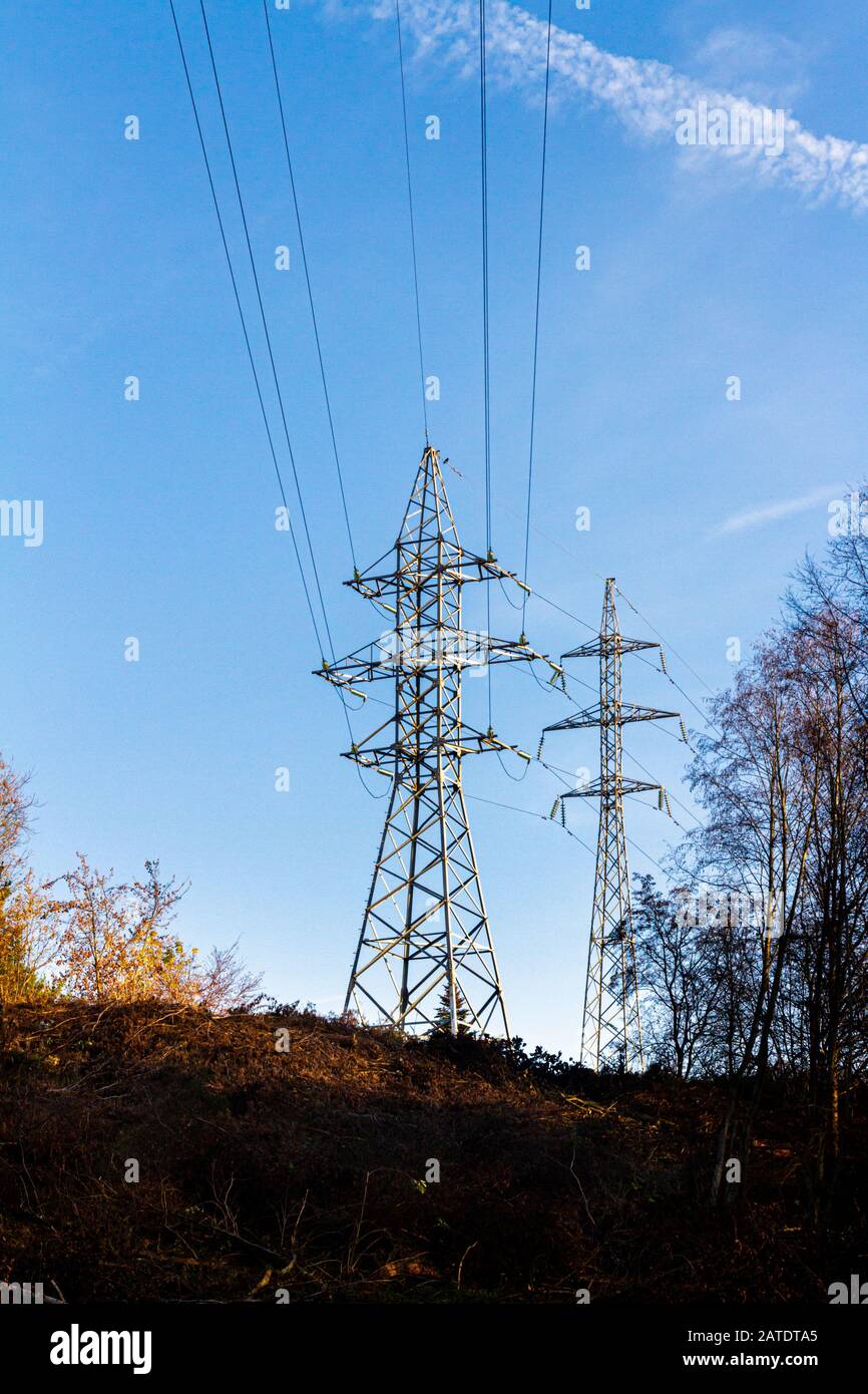 Two electricity pylons surrounded by trees in autumn on a hill Stock ...
