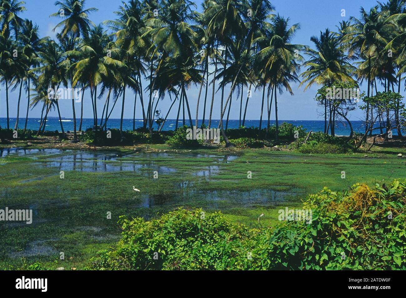 Levera national park hi-res stock photography and images - Alamy