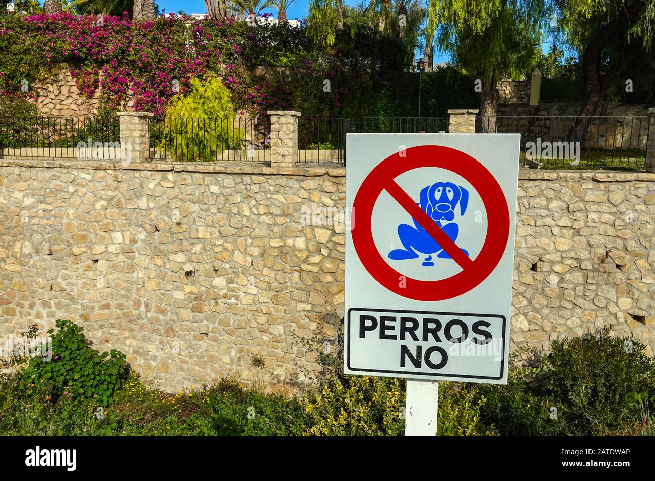Sign indicating no dogs messing pooping shitting in the area, at ...