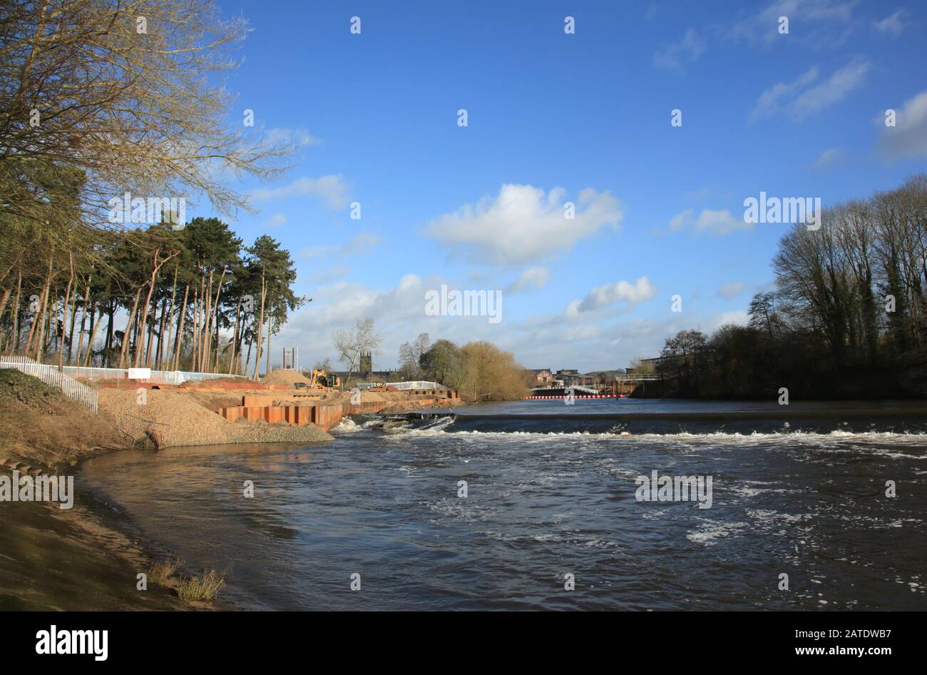 Shad fish uk hi-res stock photography and images - Alamy