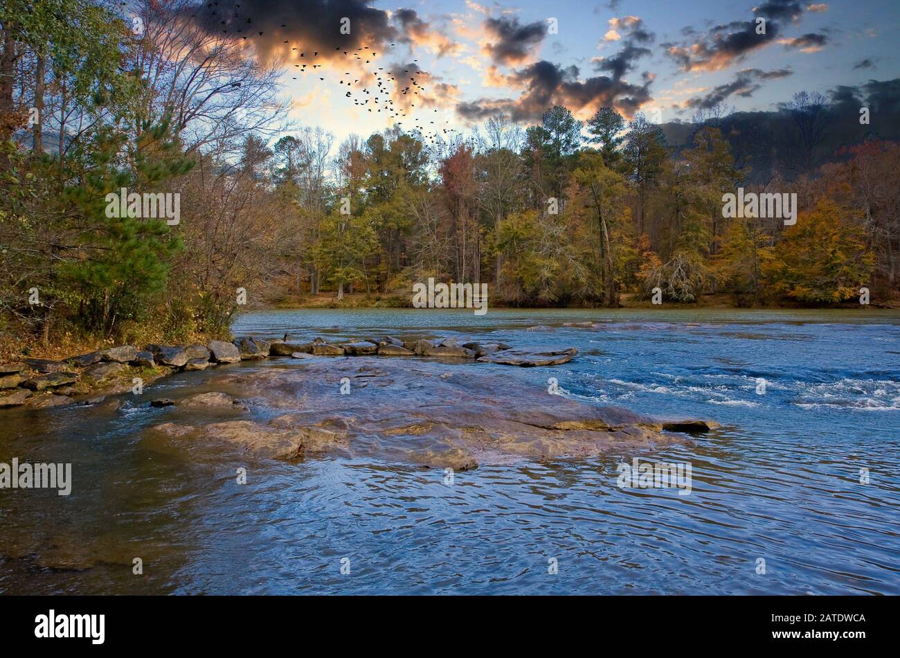 River along the trees hi-res stock photography and images - Alamy