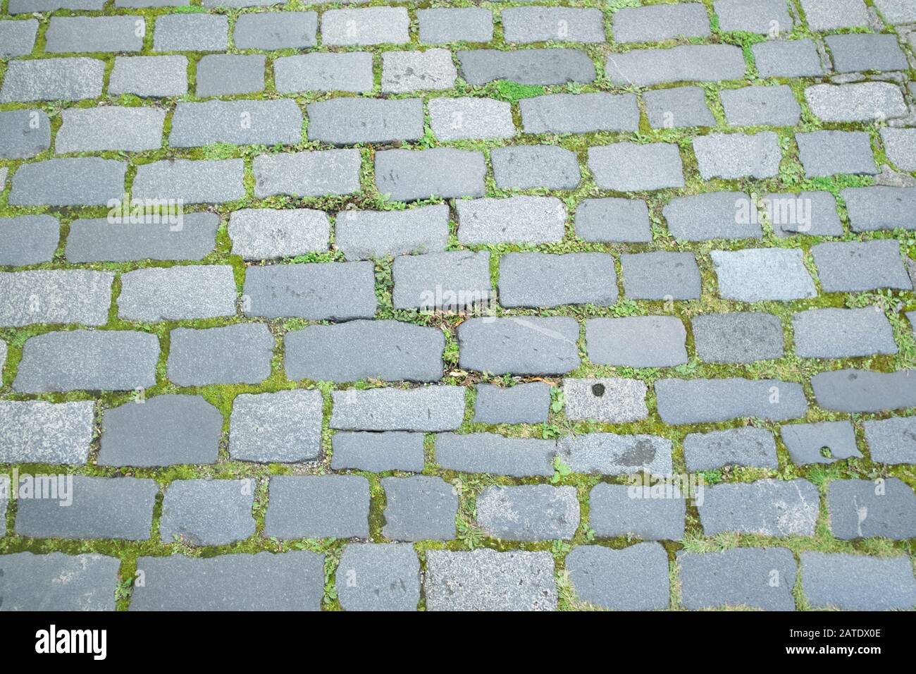 Moss road uk hi-res stock photography and images - Alamy