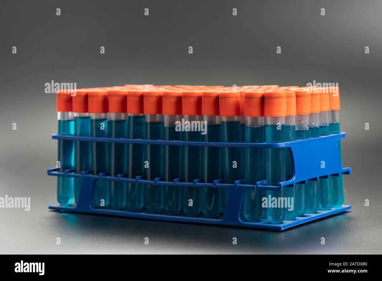 Test tubes with chemical samples in science laboratory Stock Photo - Alamy