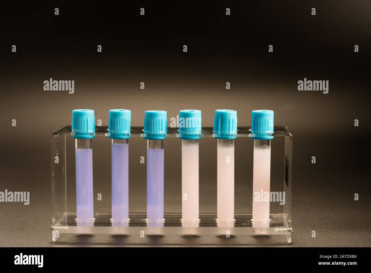 Test tubes with chemical samples in science laboratory Stock Photo - Alamy