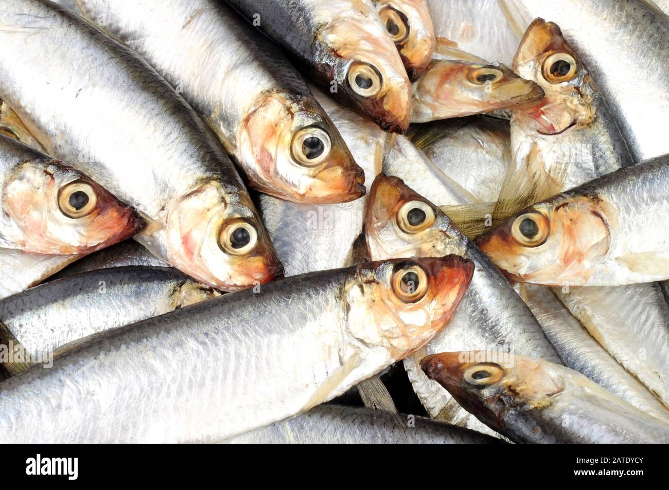 Unprepared fish hi-res stock photography and images - Alamy