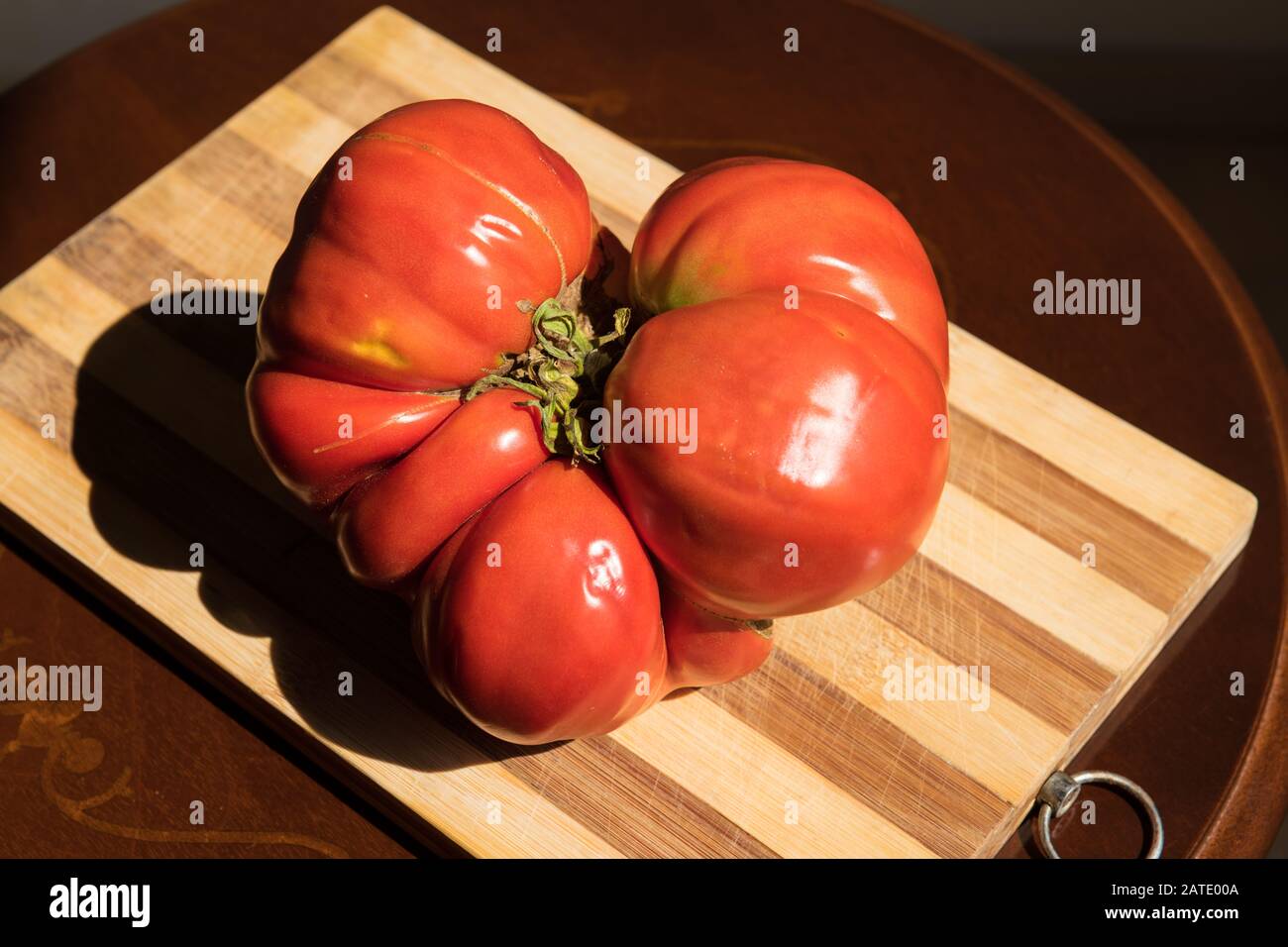 Ugly Tomato Heads