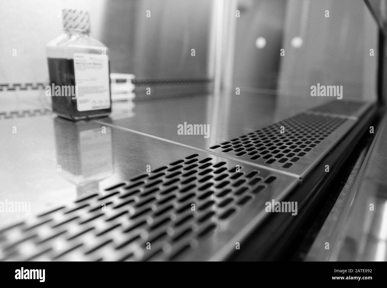 A Laminar flow tissue culture hood for handling cells in sterile ...