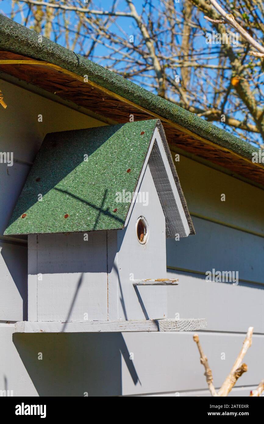 Gray birdhouse in a garden Stock Photo - Alamy