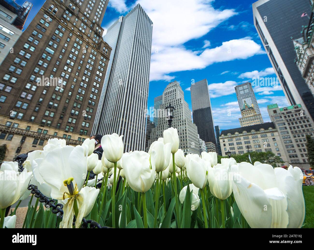 New York City Spring landscape, architecture NYC, USA Stock Photo - Alamy